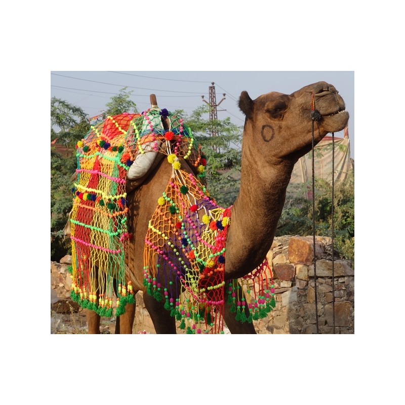 Hanging camel belt